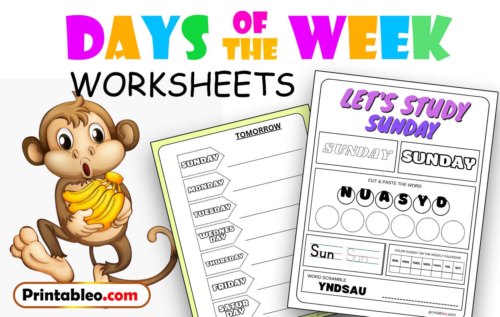 20 Tracing Line Worksheet Download FREE Printable PDFs 20 Tracing Line Worksheet Download FREE Printable PDFs